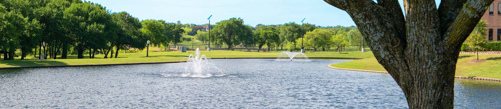 Administration – Dallas College